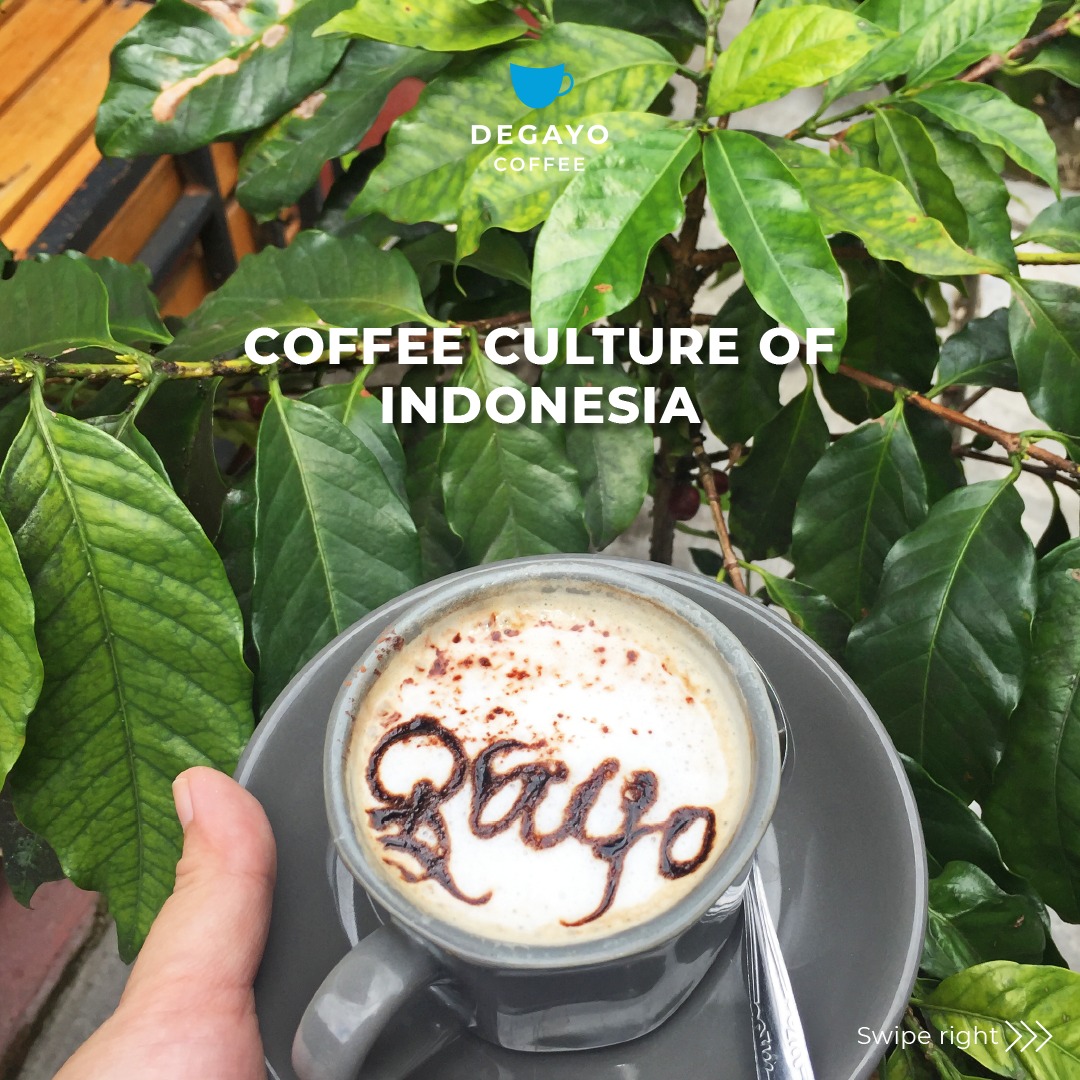 Degayo Coffee – Highland Artisan Premium Coffee Beans