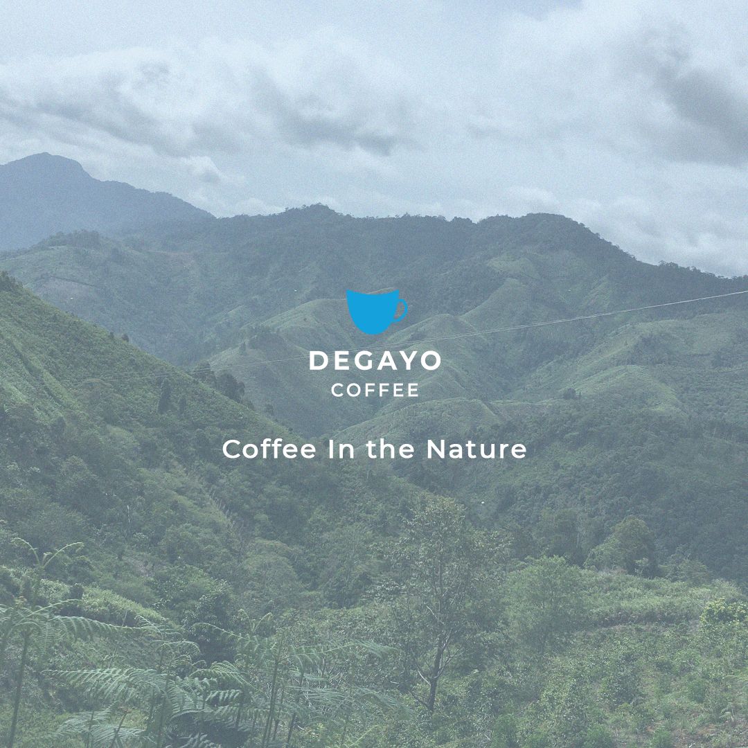 Degayo Coffee – Highland Artisan Premium Coffee Beans