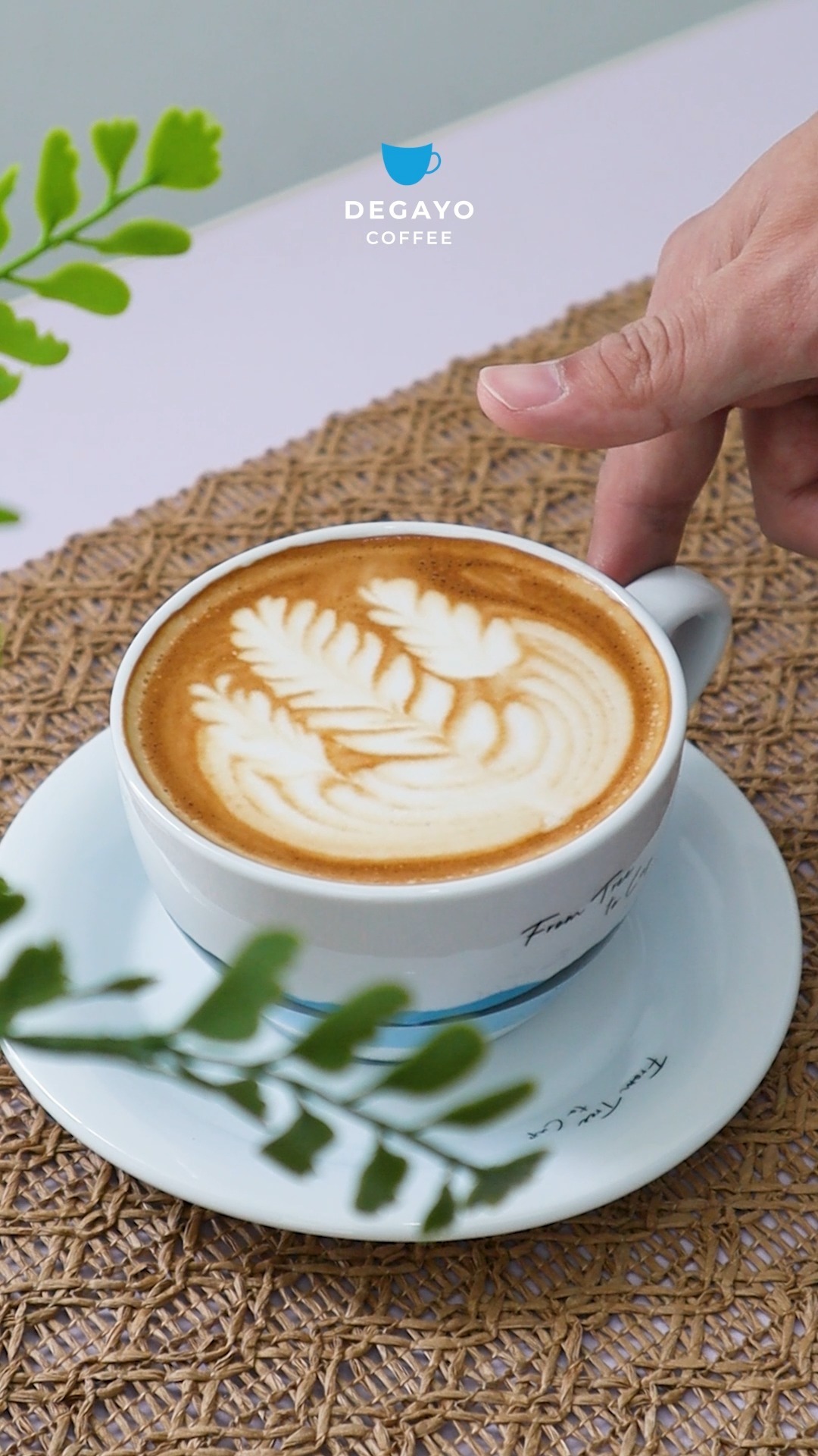 Degayo Coffee – Highland Artisan Premium Coffee Beans